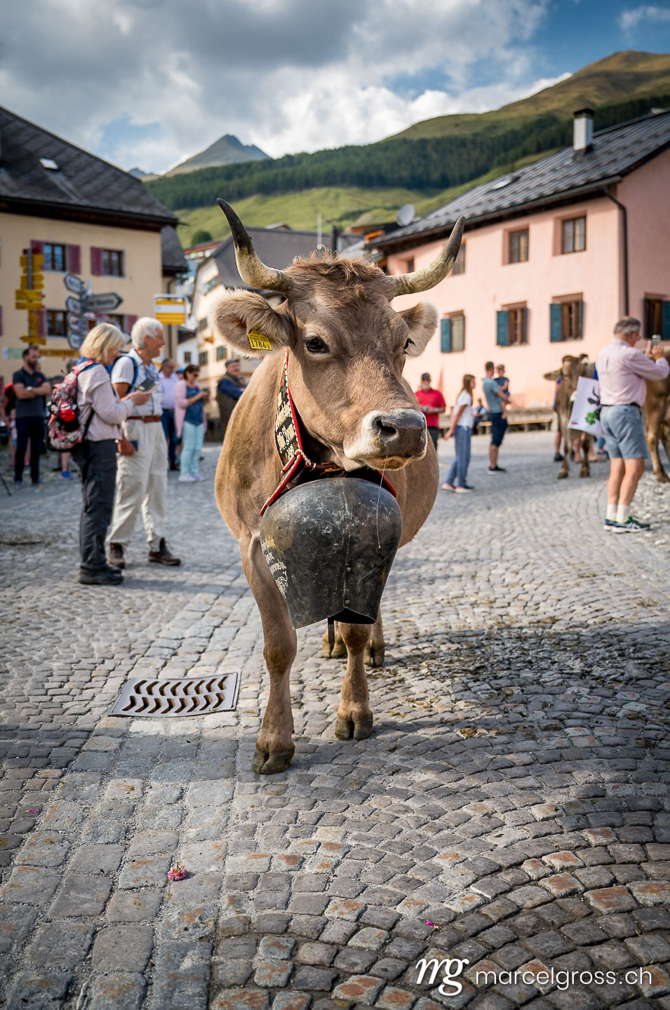 Engadin Pictures & Graubünden Photos - Marcel Gross Photography